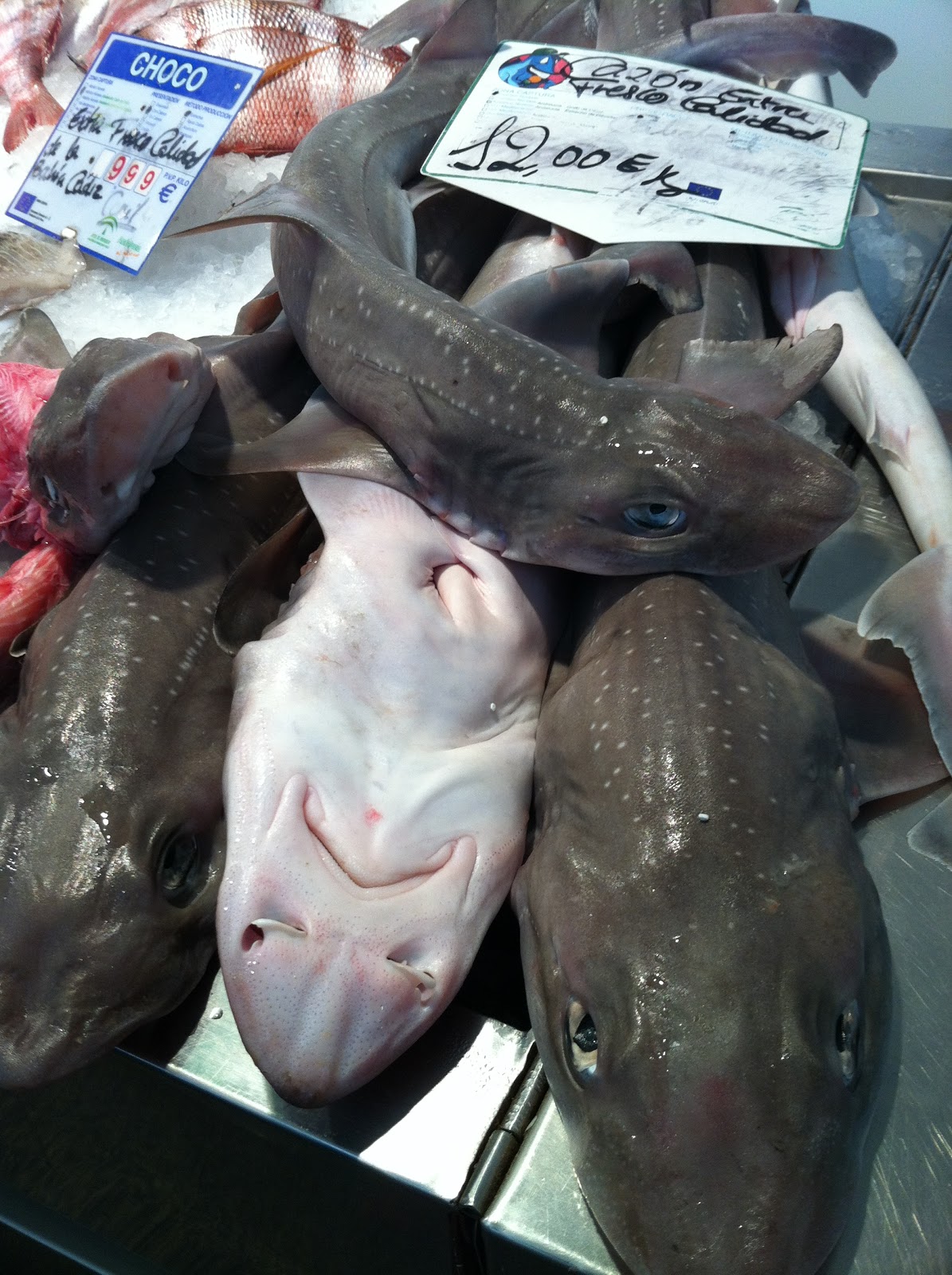 a gastronomican in Madrid: Eating in Cadíz / Comer en Cádiz