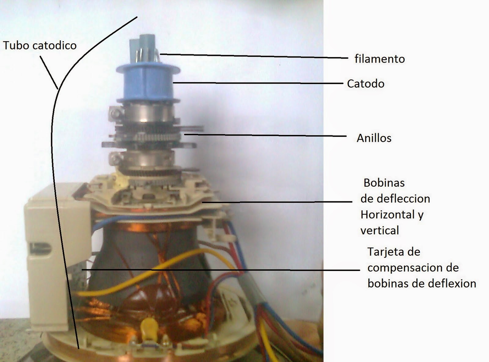 partes de un monitor - intecsena
