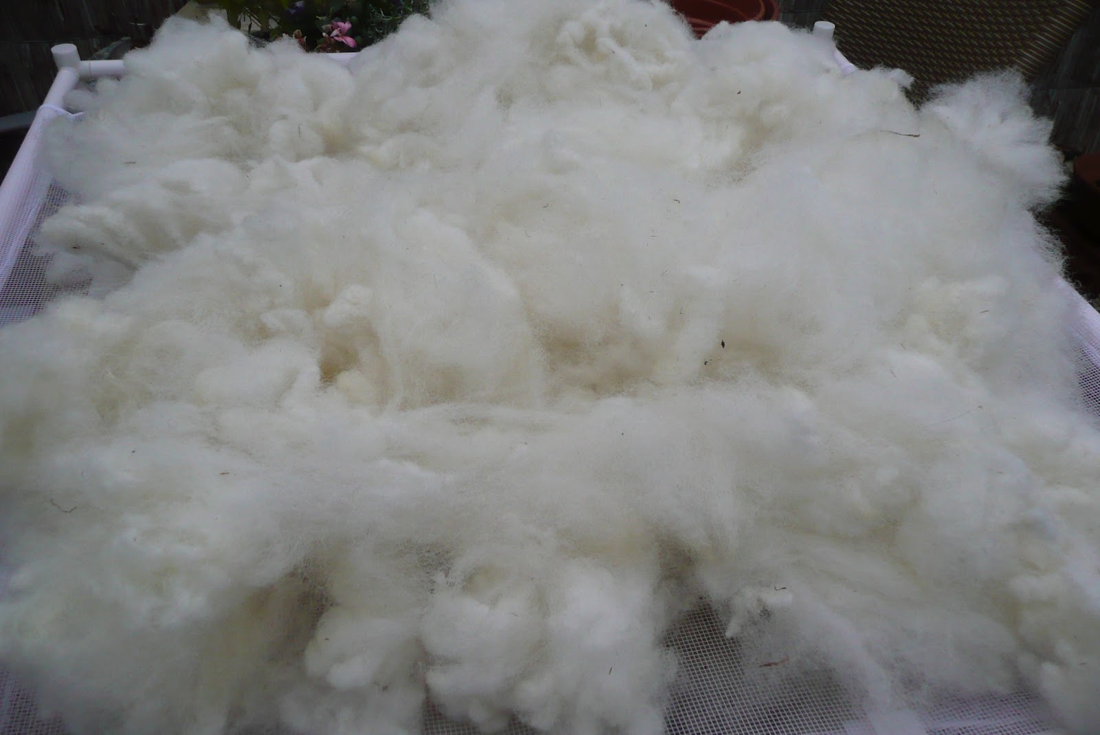 Elke dag een draadje...: wol