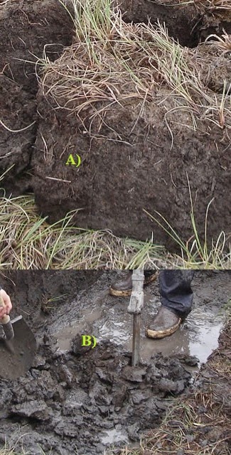 How is Specimen of Collapsible Soil Collected?