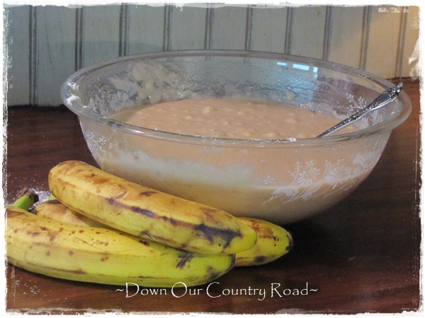 Down Our Country Road: ~A Humdinger of a Cake!~