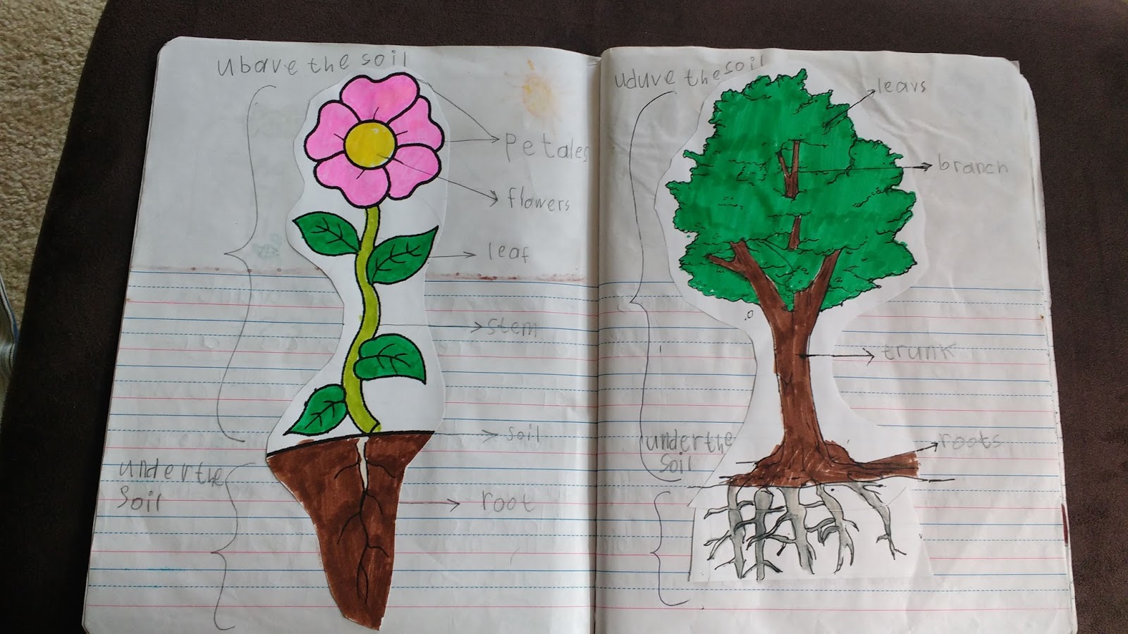 Umamah Learning Academy: Anchor Charts & Interactive Notebooking