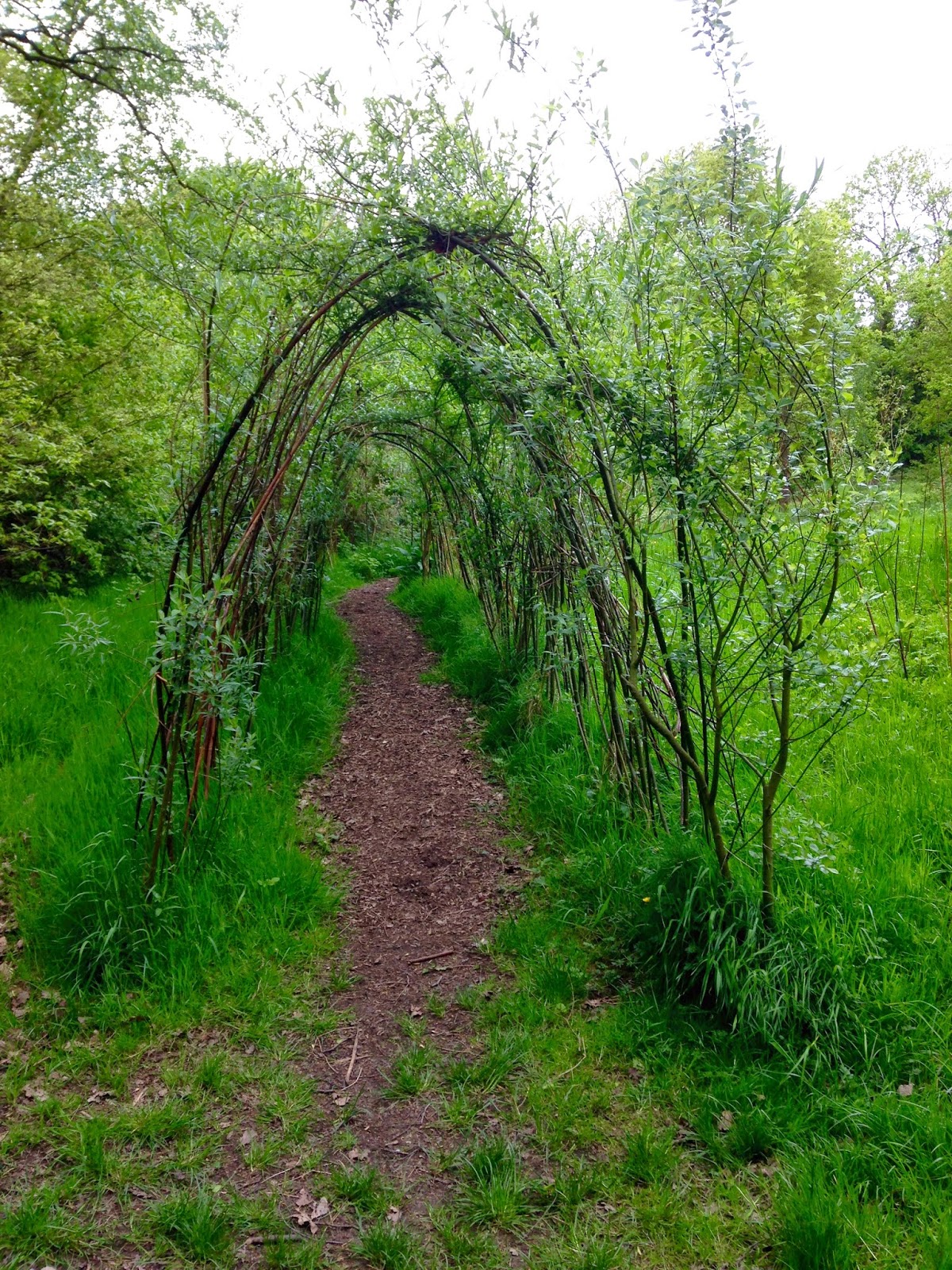 Maghull Meanders: Brotherton Park and Dibbinsdale Nature Reserve