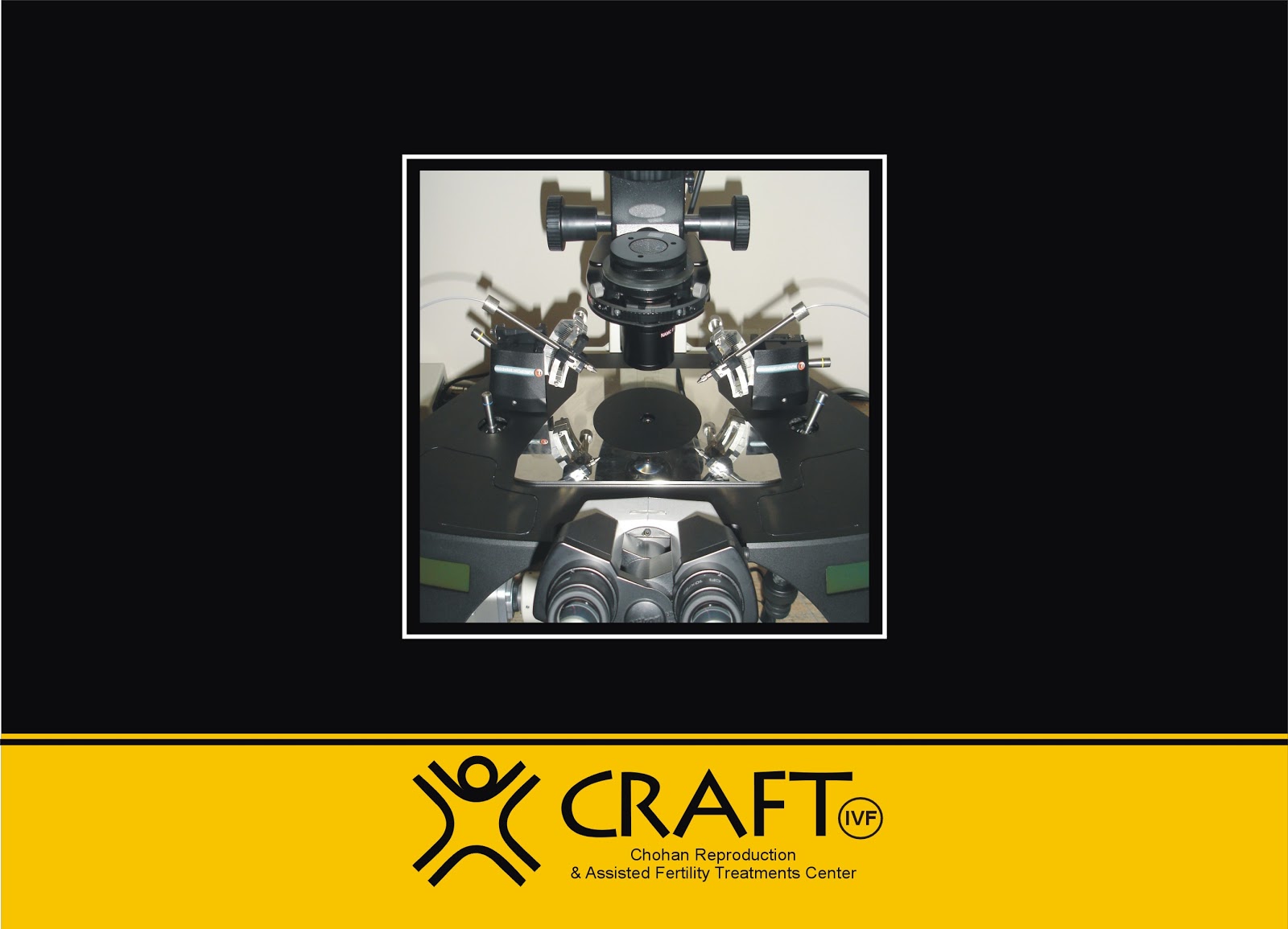 PROFESSOR DR ARSHAD CHOHAN, Lahore Pakistan.: CRAFT-IVF