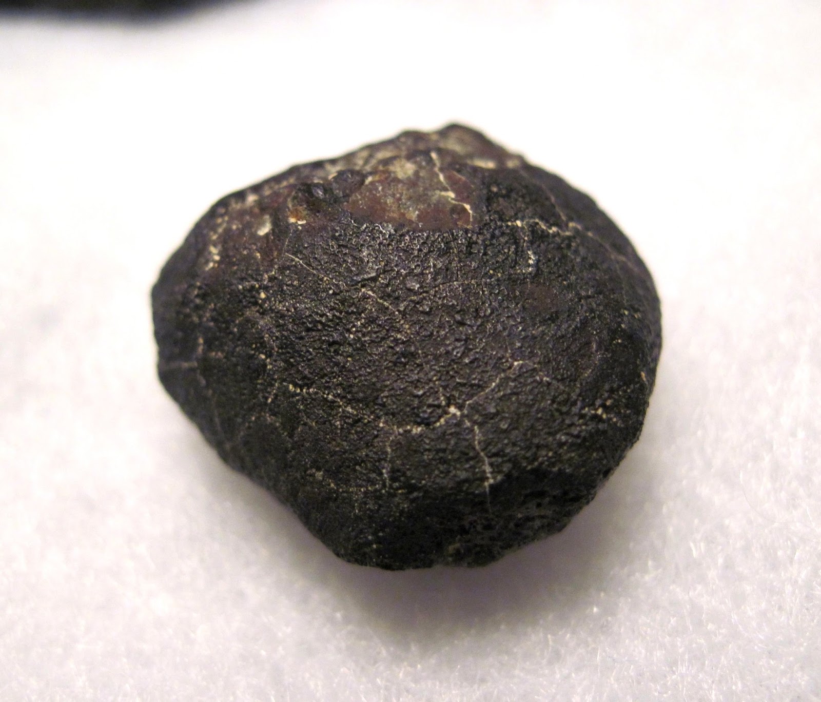 Delta Planetarium: Identifying Meteorites