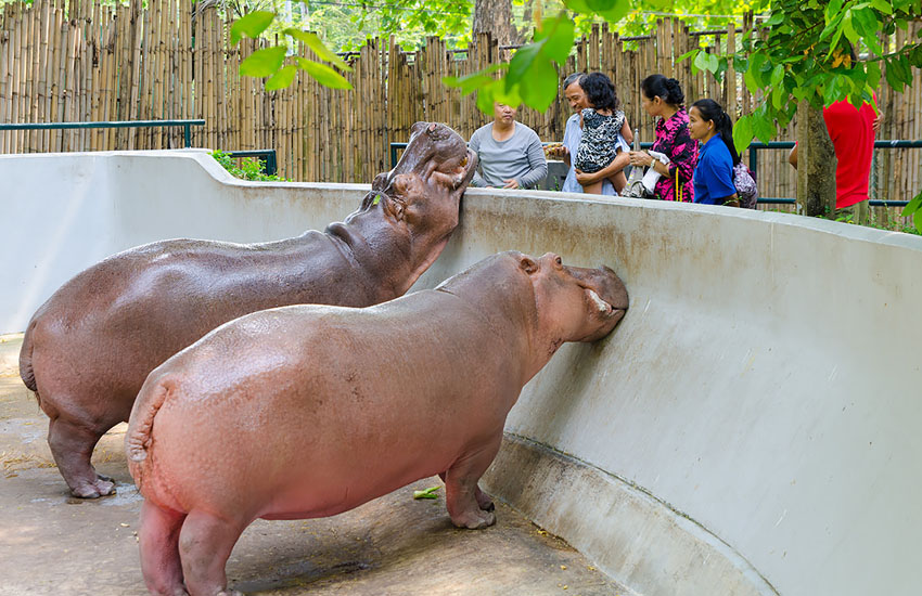 Enjoy 12 Things to do in Bangkok - Online Travel Bucket