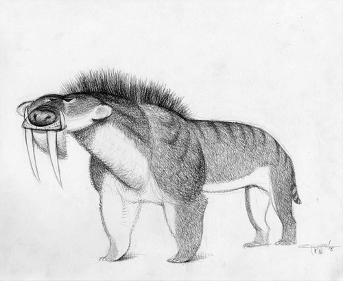 My Owl Barn: Award Winning Artist Carter Goodrich