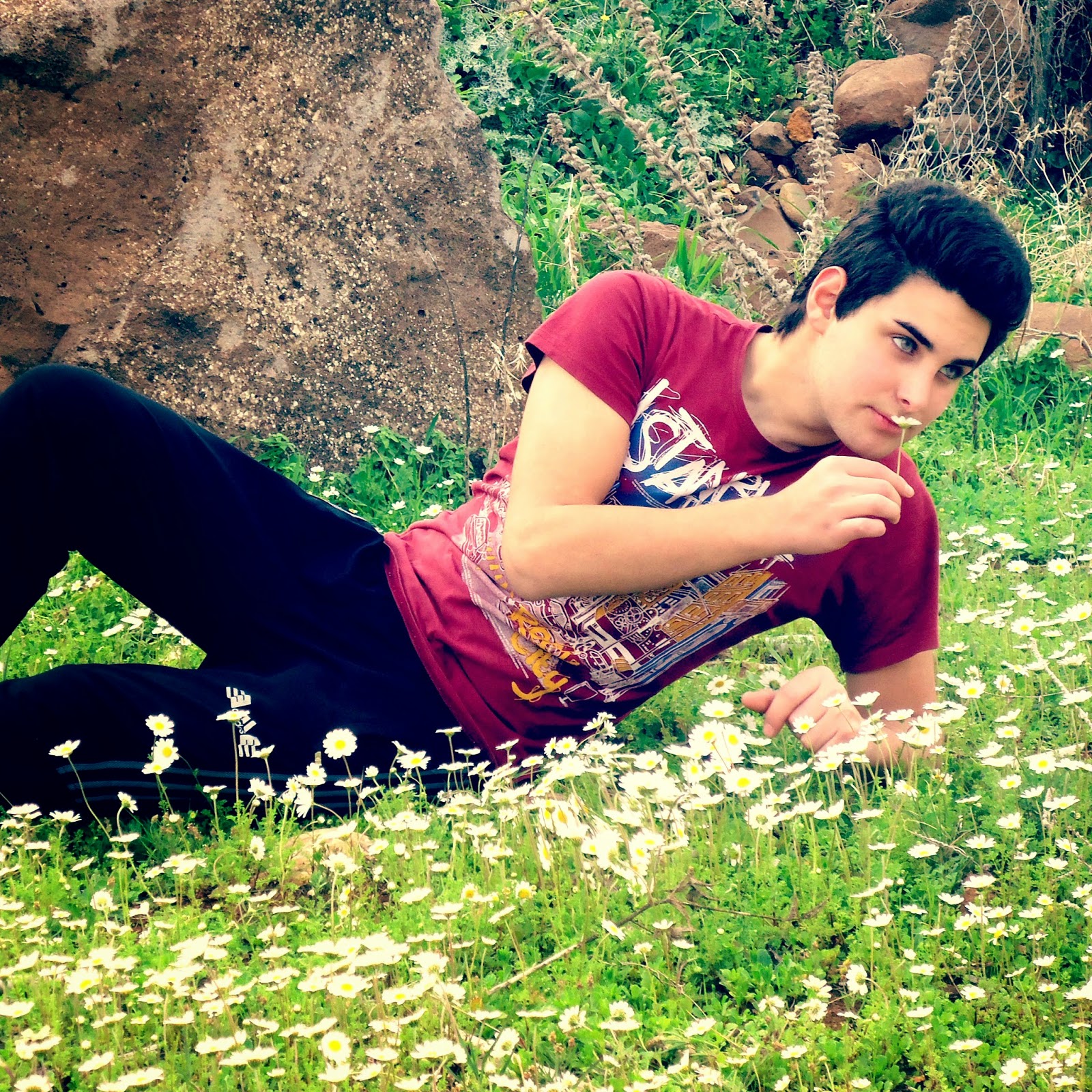 Ali Awada wallpaper: Ali Awada wallpaper