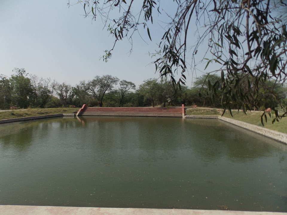 CHINAR SHADE : TER KADAMBA TREE AND SRI KRISHNA
