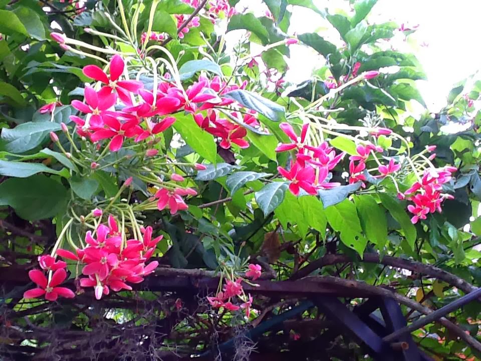 Sedang Sedang: February 2014