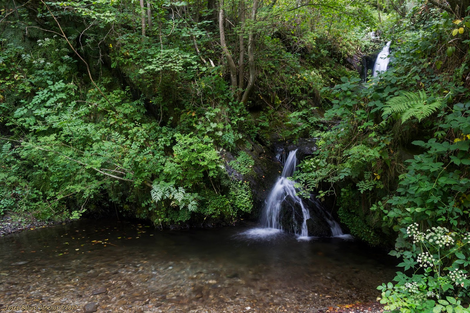 Racons de Catalunya: Salt del torrent de Pastuira (Setcases)