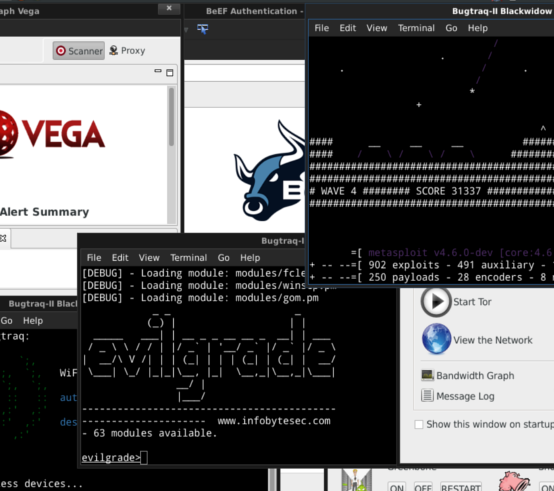 Download Bugtraq-II BlackWidow Images.. 500 Tools