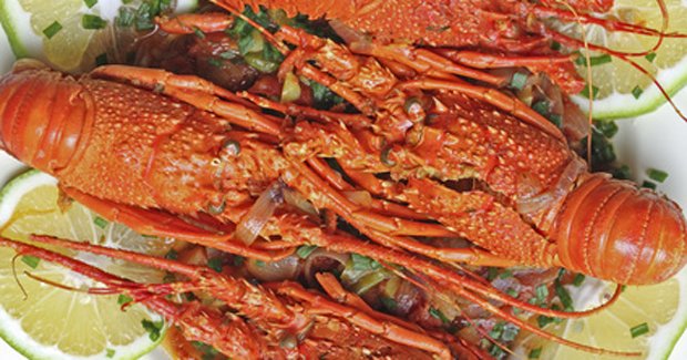 Andrea´s Warenkunde: Langusten