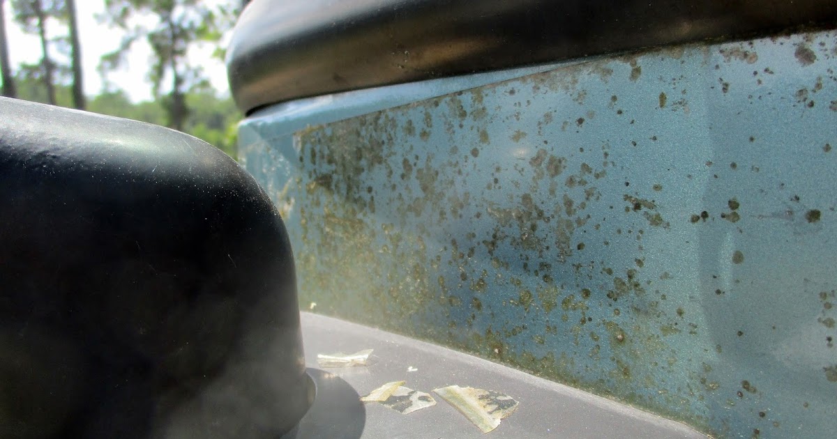 R Sanity RV Adventures: Removing Diamond Shield From Our RV