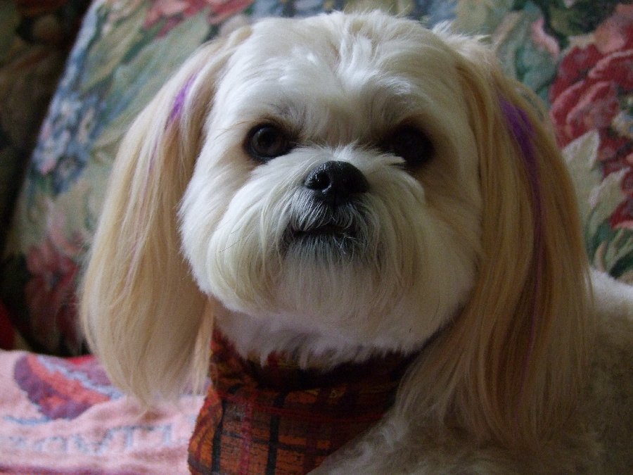 Movin' On ...: Reasons To Be Cheerful