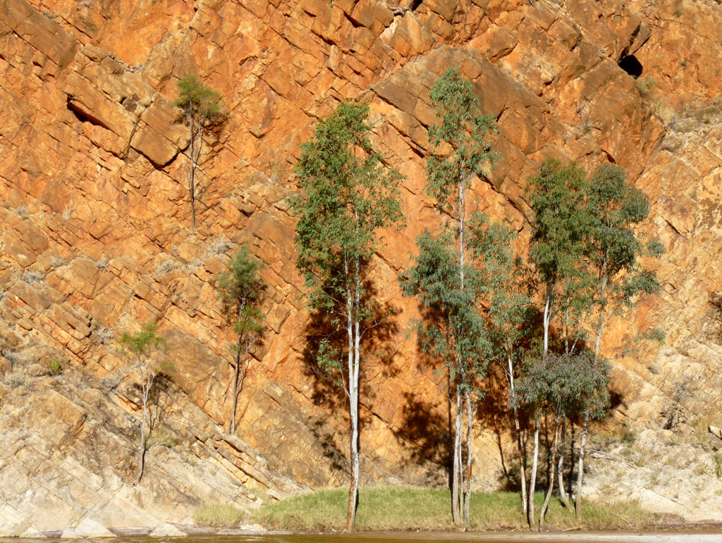 Bushranger: MacDonnell Range