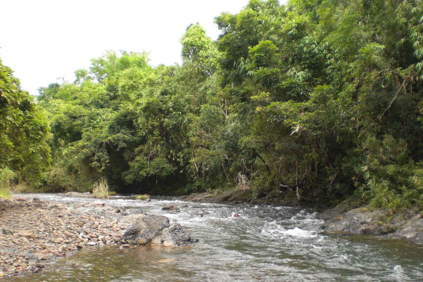 tagkawayan trippers-tkt: …..bayabas river……….tk……….