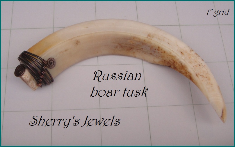Sherry's Jewels: Russian Boar tooth or is it a tusk?