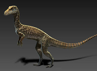 Mundo Pré-Histórico: Dinossauros do Brasil