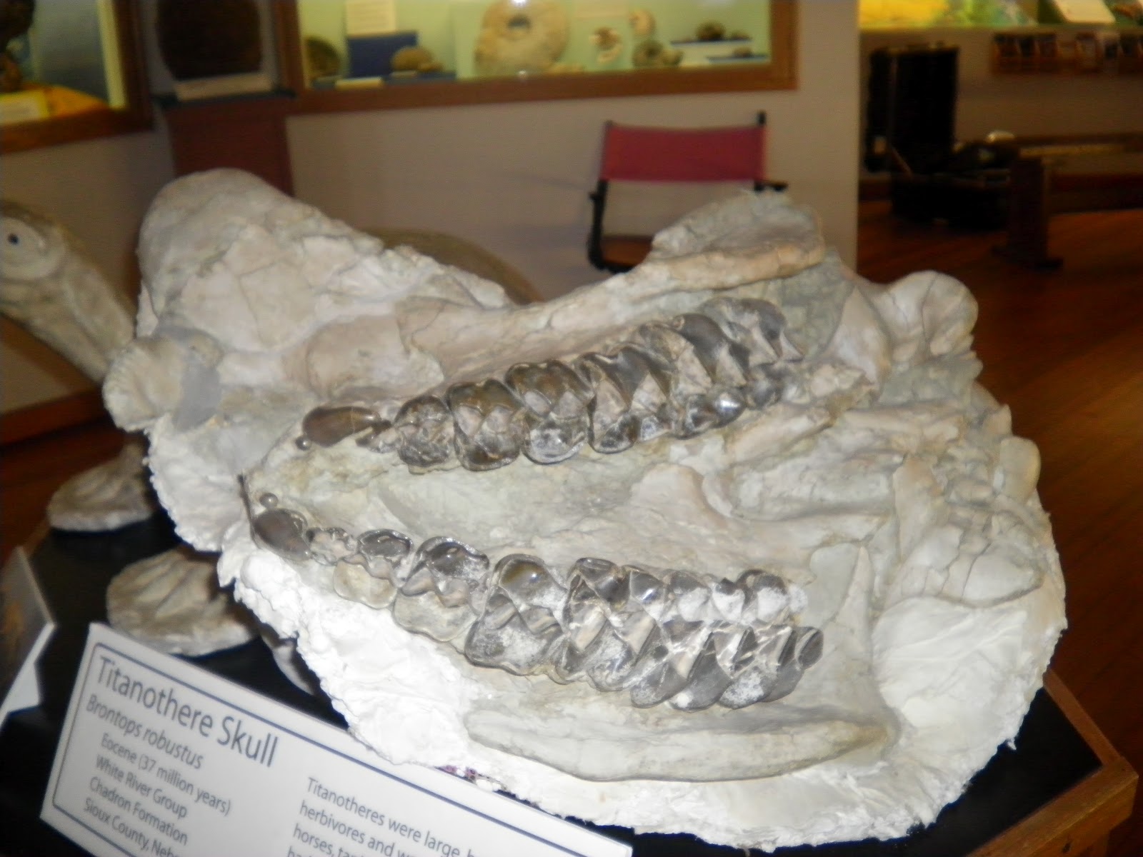 High Plains Science Adventure