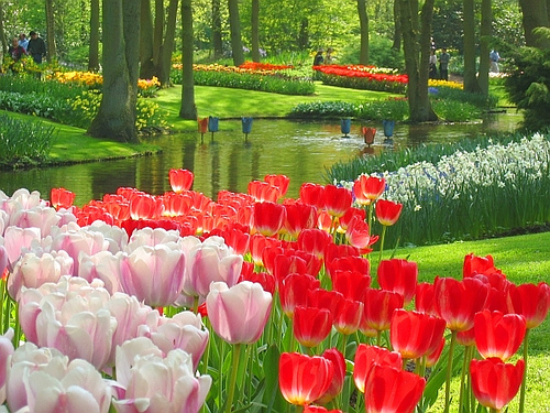 mine blog: Bunga Segar