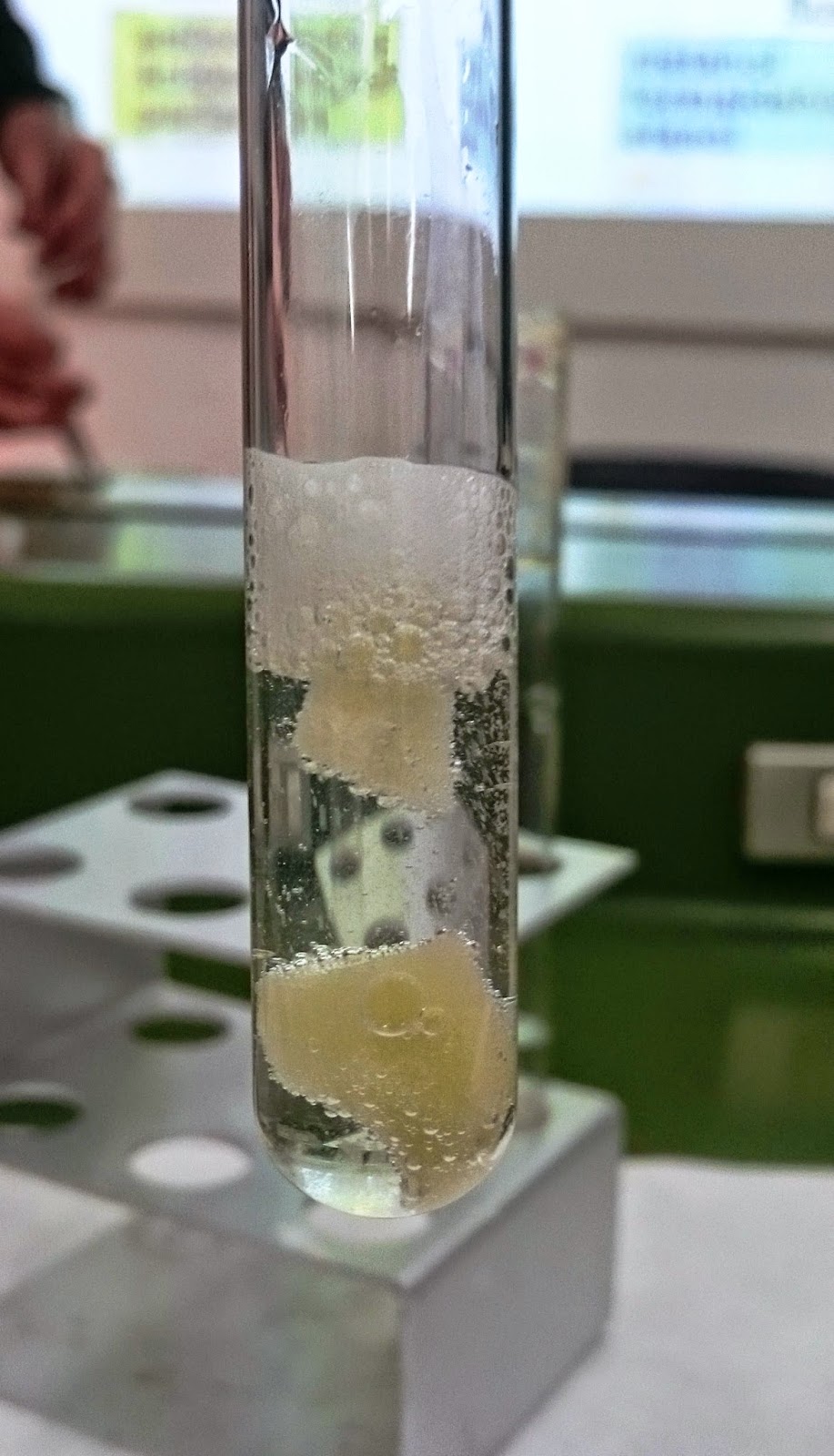 LEER+ENTENDER= CREAR: RECONOCIMIENTO DE LA CATALASA EN EL LABORATORIO