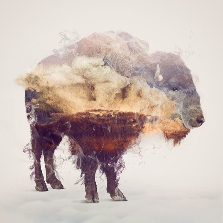 Design Stack: A Blog about Art, Design and Architecture: Ghostly ...