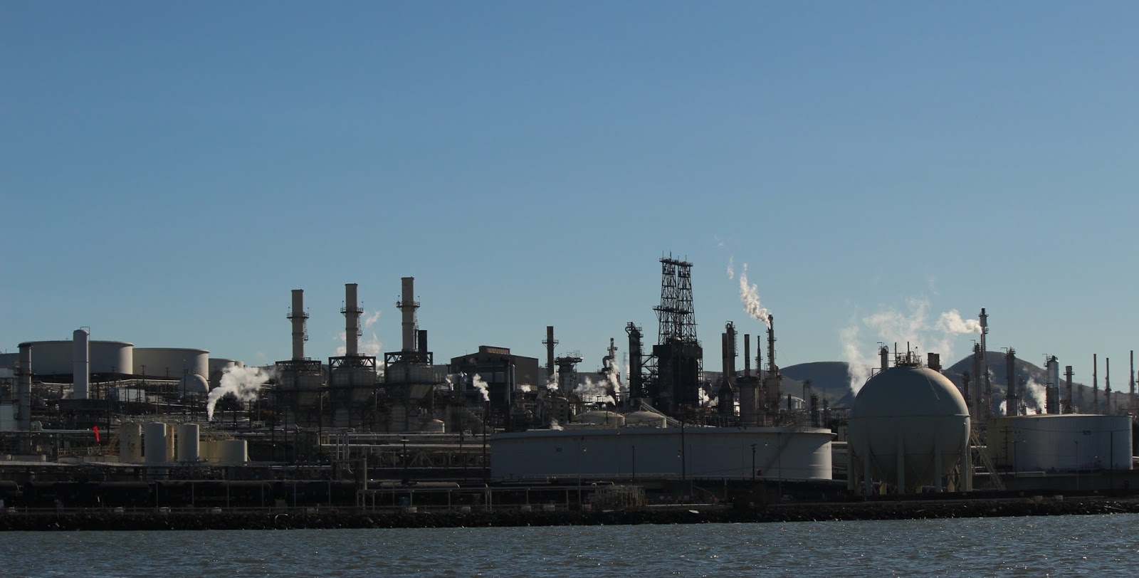 Una voz por lo silvestre