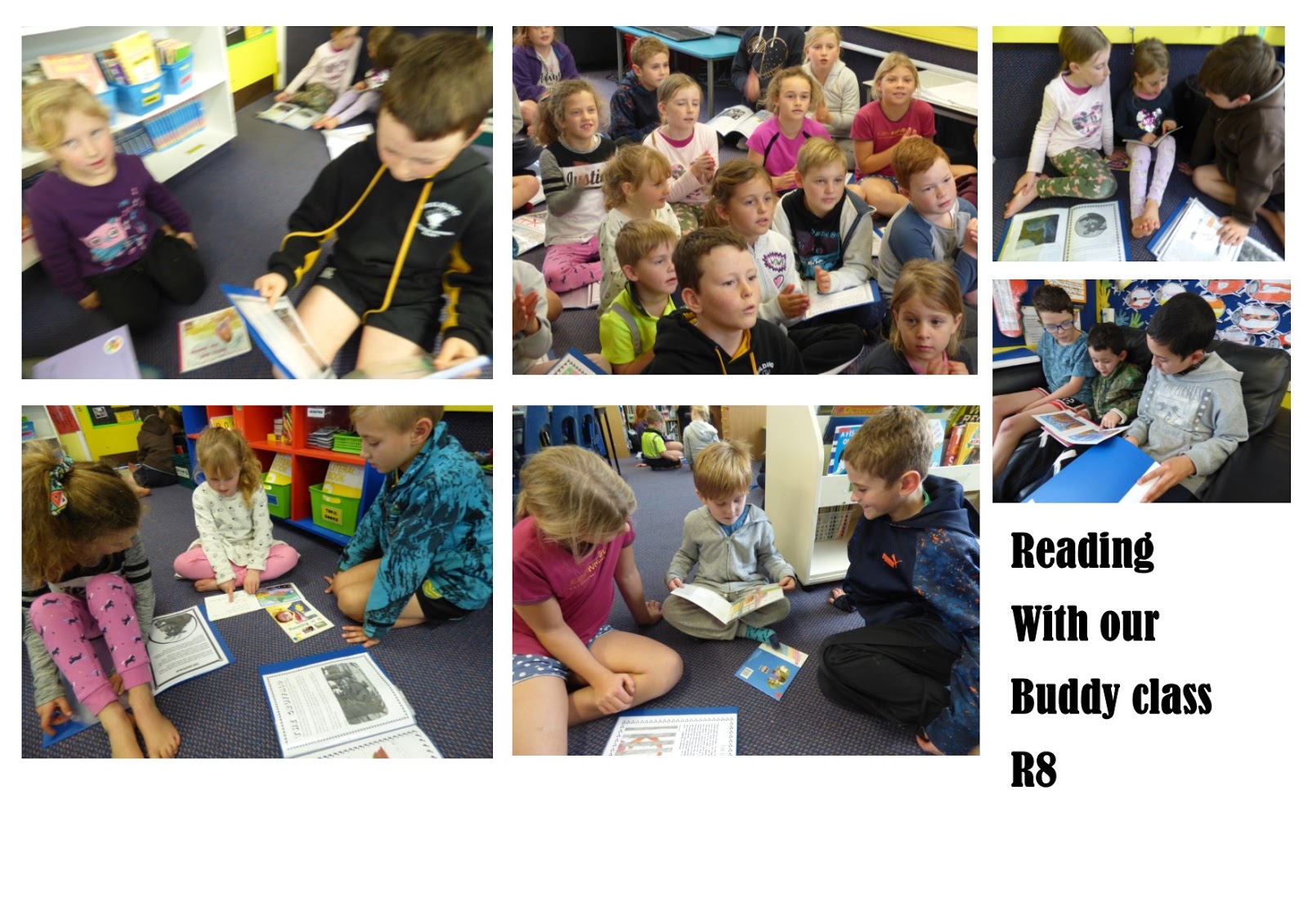 Room 3 Halcombe School: Buddy Class Reading