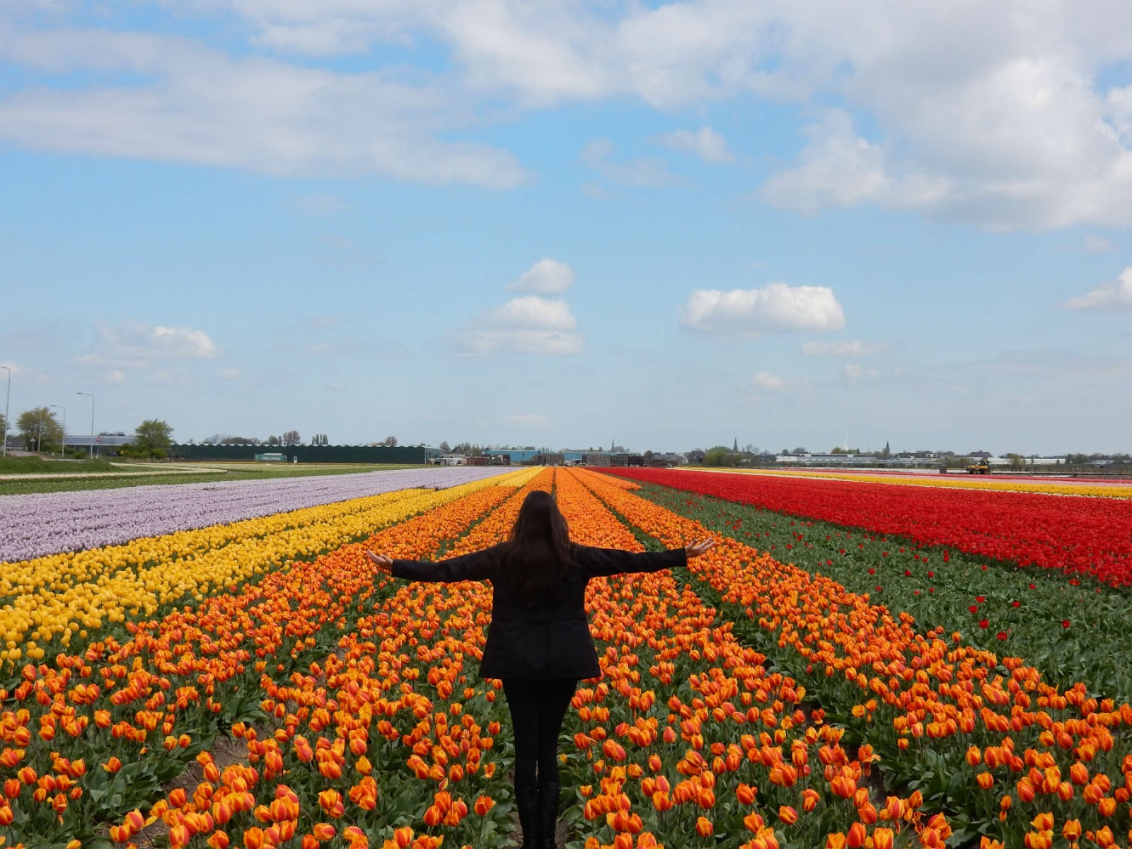 Dicas para visitar o Keukenhof - o parque das tulipas na Holanda ...