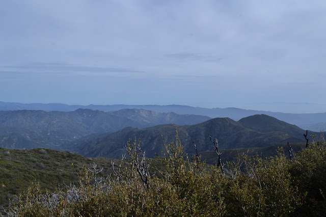 San Rafael: San Rafael Mountain