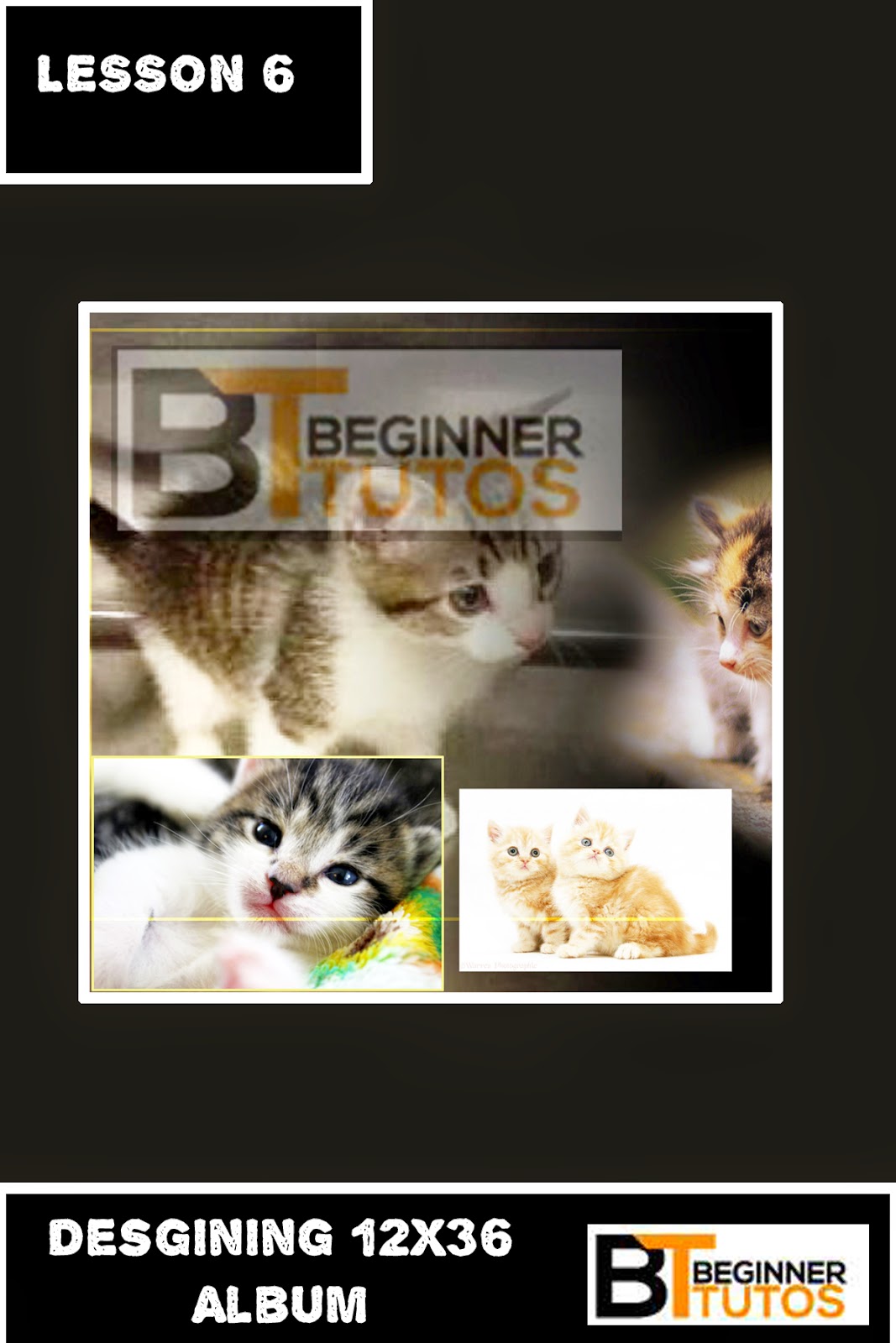 PSD02 ~ Photography and Tutorials for Beginners