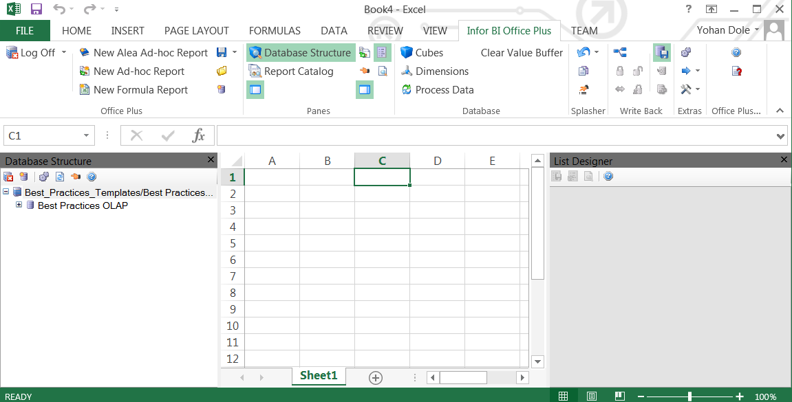 Infor BI Tips & Tricks: Infor BI Basics