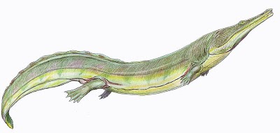 Reptossaurus: Répteis pré-históricos marinhos