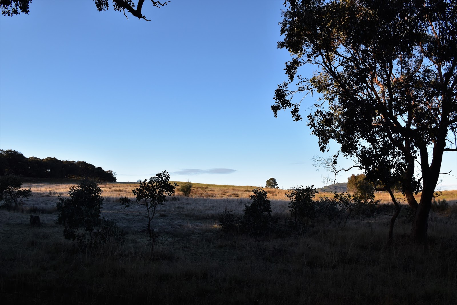 Goin' Feral One Day At A Time: Mundy Gully, Spring Plains Nature ...