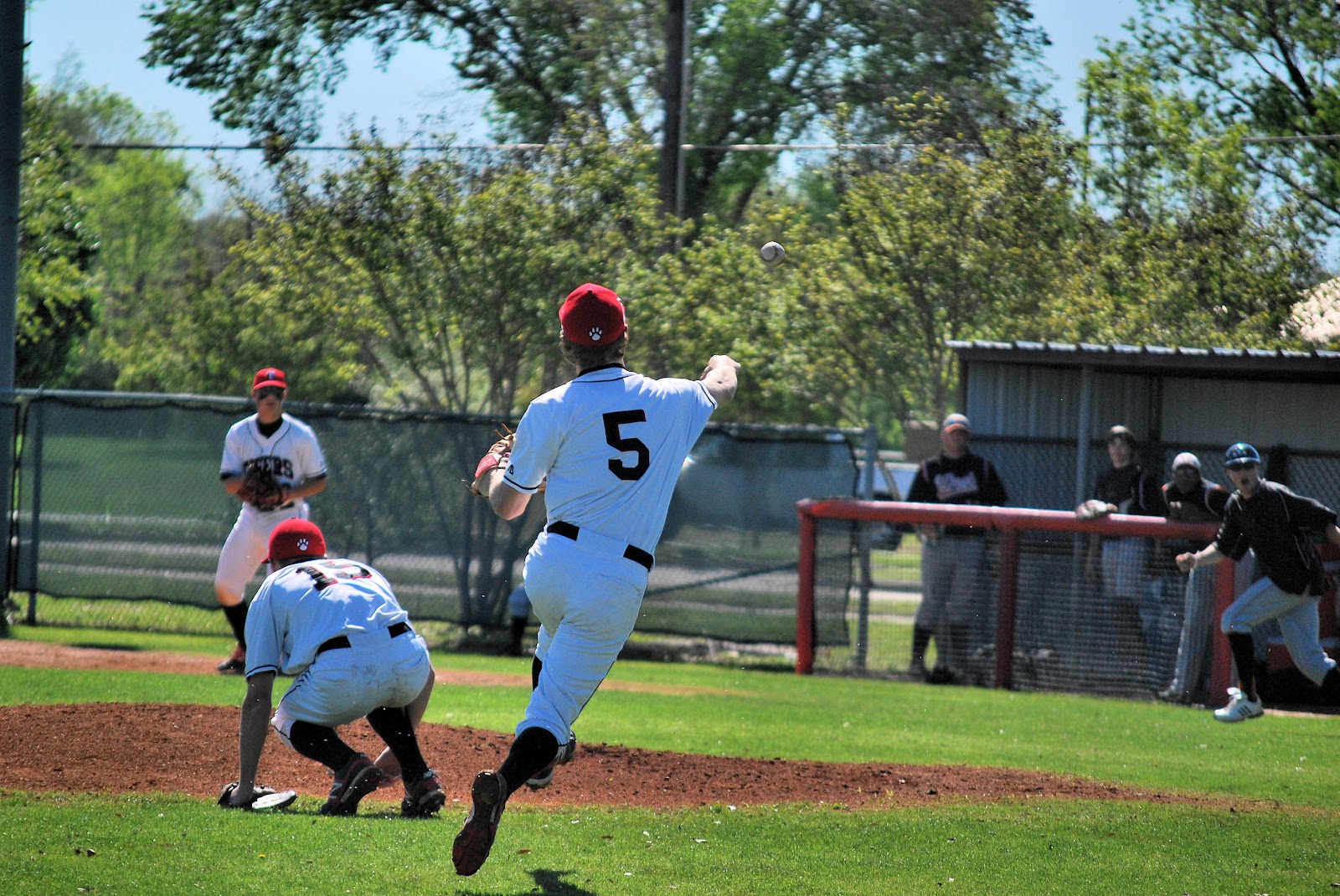 Terrell Daily Photo: 3/1/12 - 4/1/12