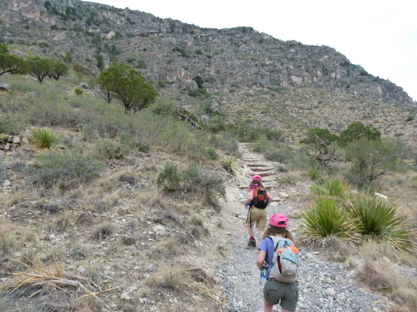 Trish, Alex, and Sage: Tuesday Trip Report: Highpoint: Texas. Guadalupe ...