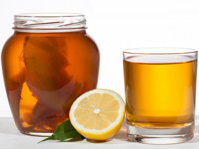 Khasiat dan manfaat jamur teh kombucha | Jamur Teh