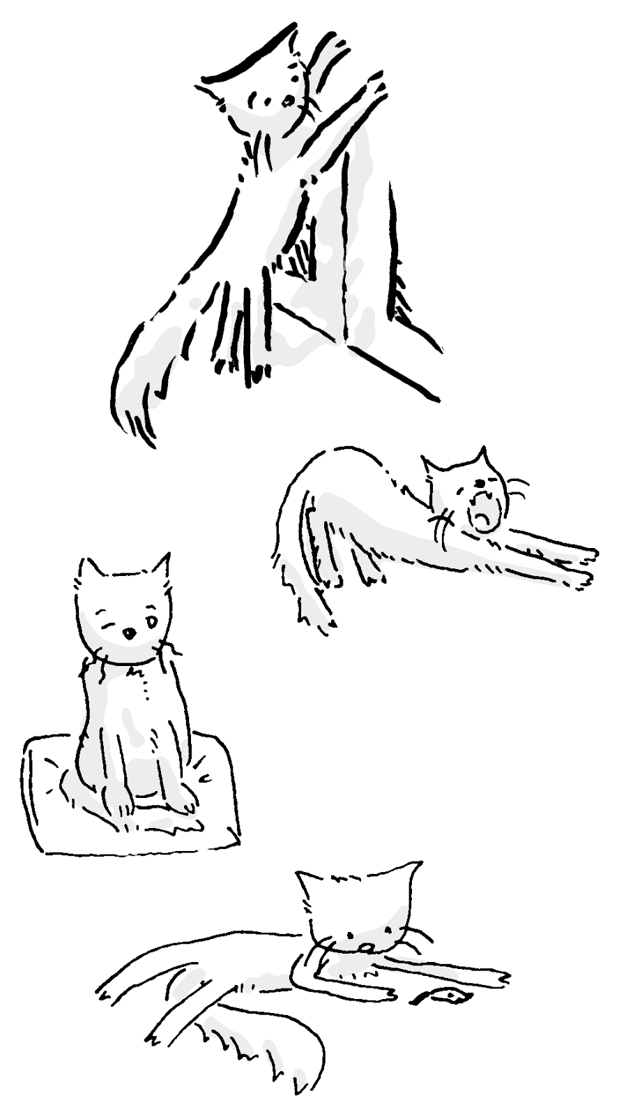 Most Strange: Drawing cats