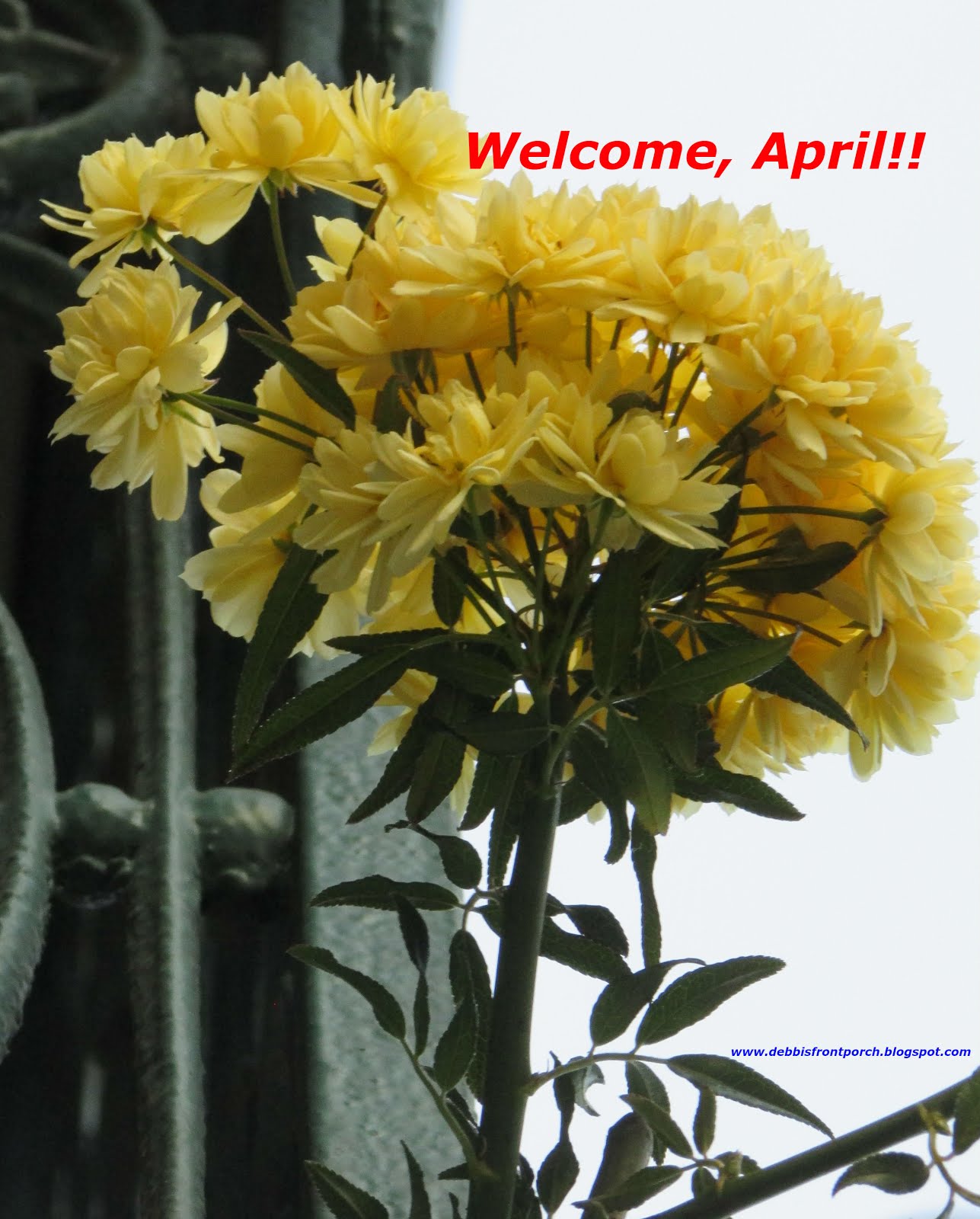 Debbi's Front Porch: Fall on the Front Porch