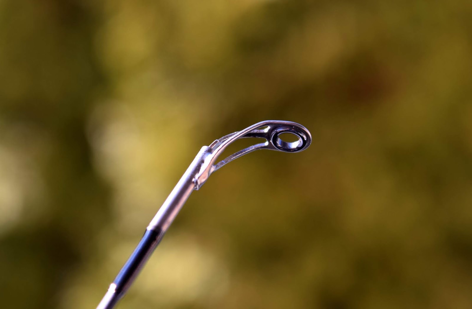 Carpfishing my way by Luis Rasmussen. Sveriges ledande och lärorikaste ...