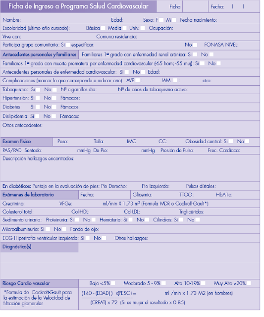 Implementación del enfoque de riesgo en el programa de salud ...