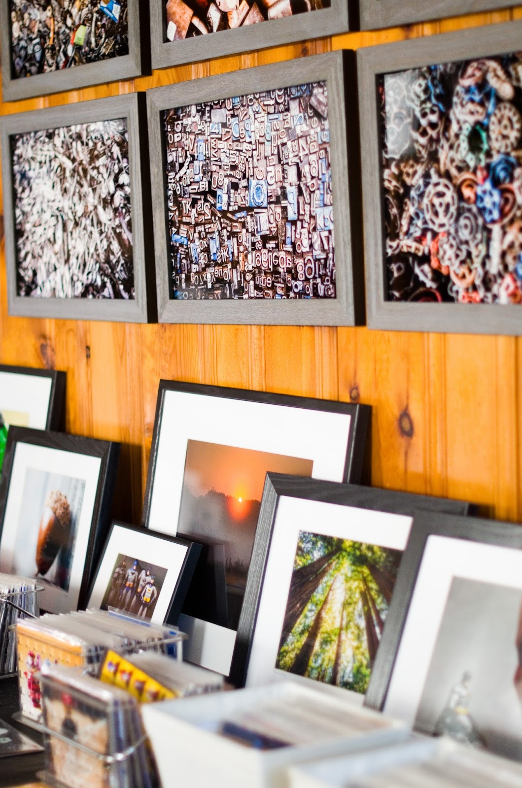 Made In Medway: Local Photographer, Tim Rice