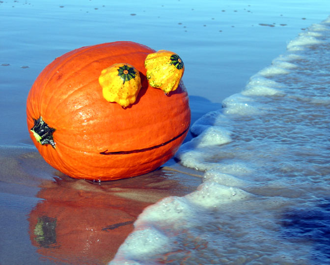 Something wicKED this way comes....: Pumpkins on Vacation.