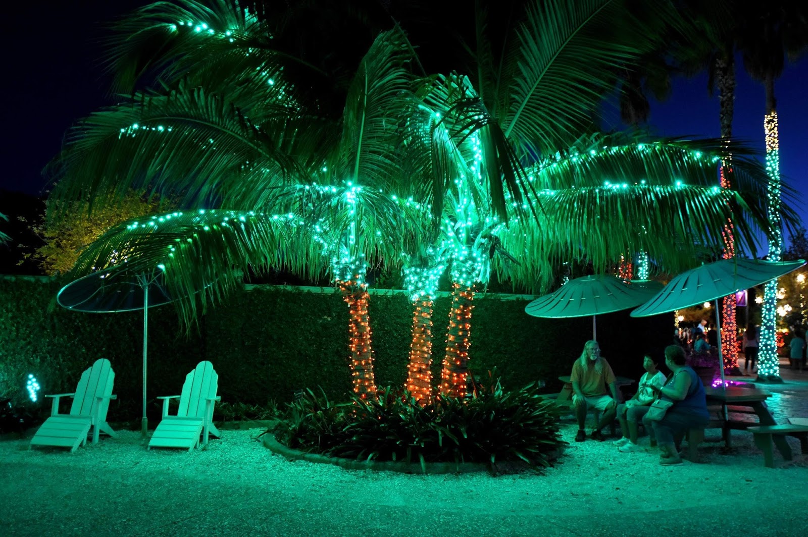 Landscape Lighting South Florida: 2016