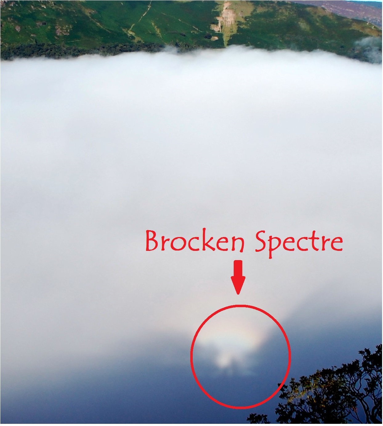 Ranger Roy National Trust: Fungi, temperature inversion, Brocken ...