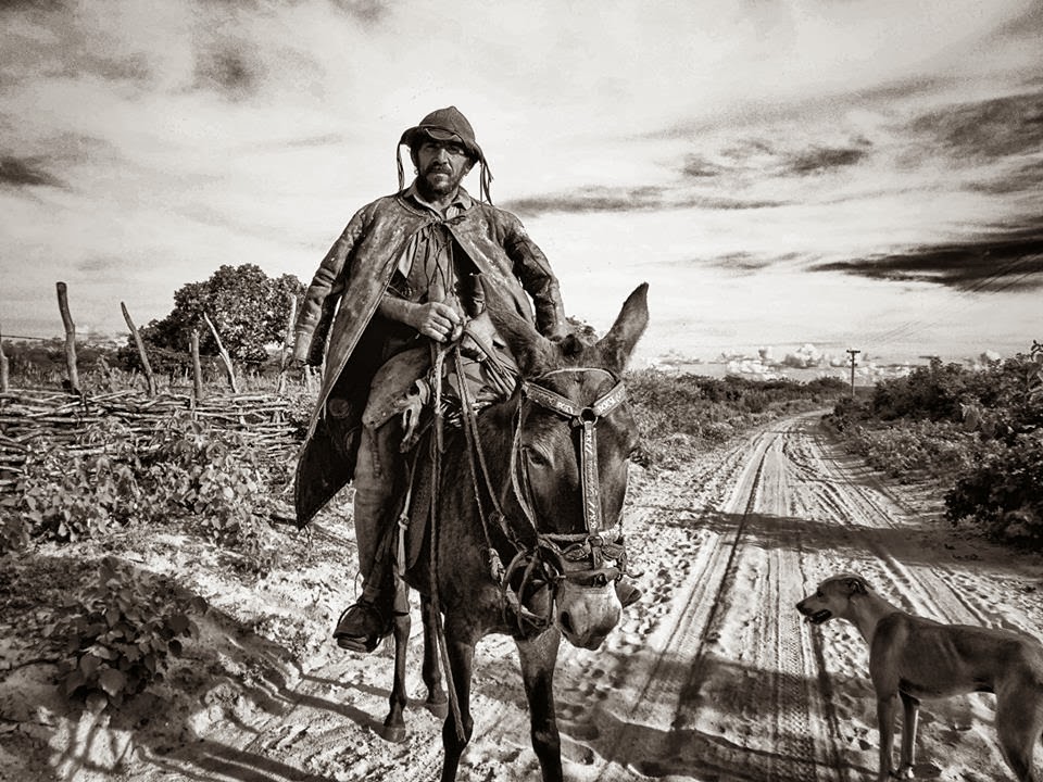Piauinauta: O vaqueiro do nordeste