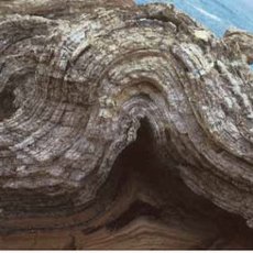 Aprende biología y geología conmigo : PLIEGUES