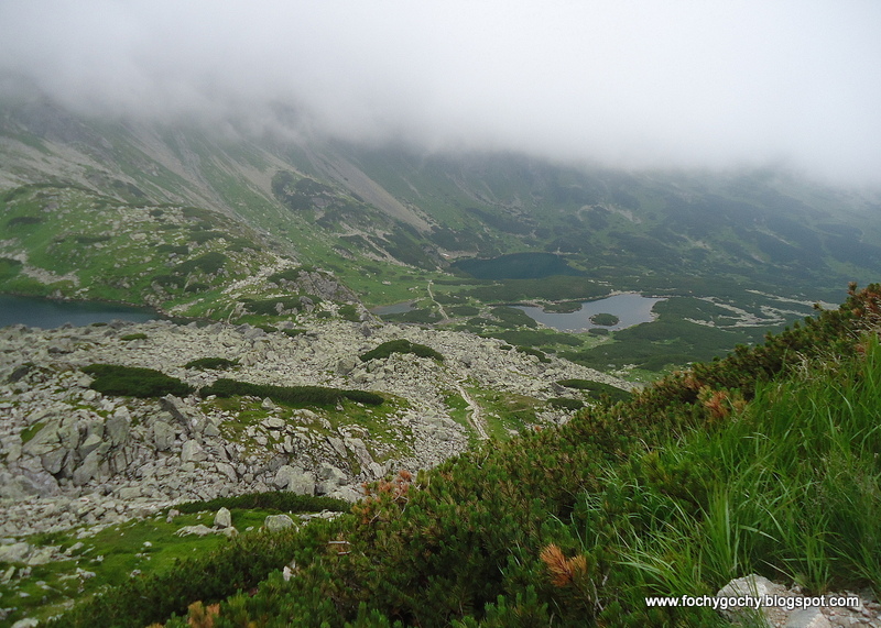 Kulinarne fochy Gochy