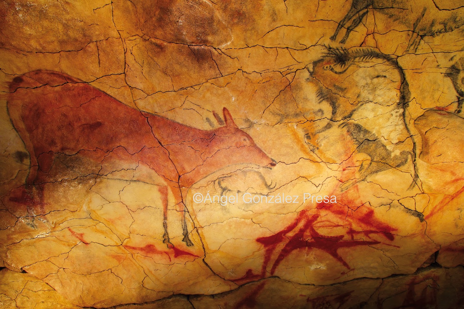 Ángel González Presa: ALTAMIRA